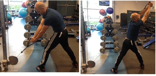 Motor Control Strengthening – Advanced Physical Therapy Education Institute